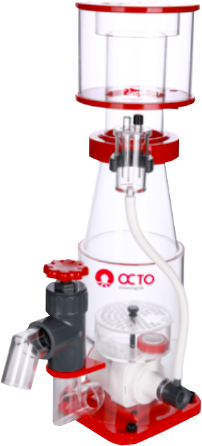 OCTO REGAL – Gallery Aquatica