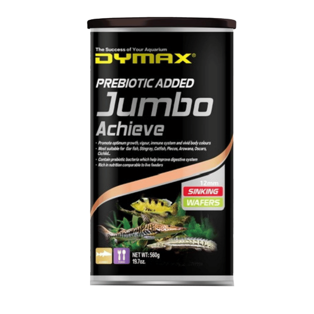 DYMAX JUMBO ACHIEVE – Gallery Aquatica