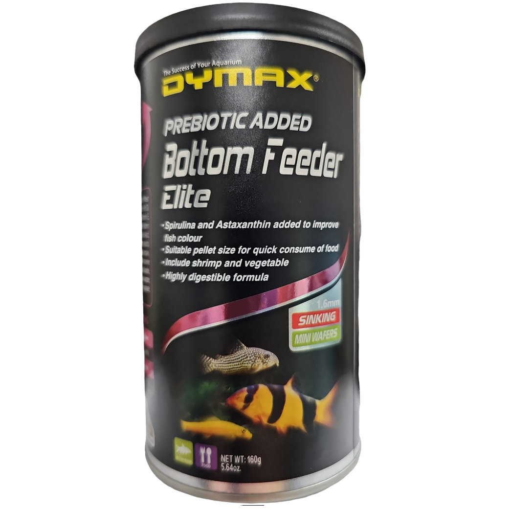 DYMAX BOTTOM FEEDER – Gallery Aquatica