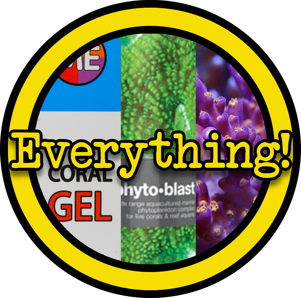 Everything – Gallery Aquatica