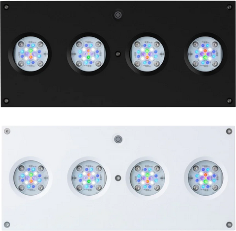 AI HYDRA 64 HD – Gallery Aquatica