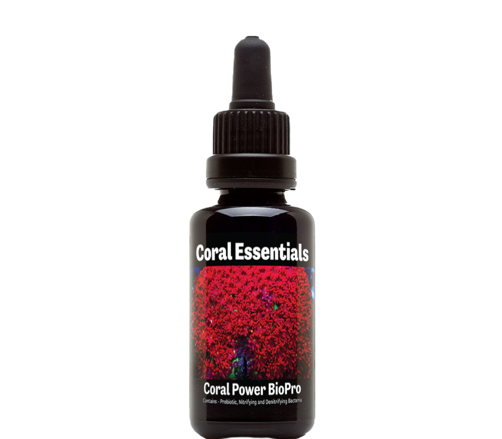CORAL ESSENTIALS CORAL POWER BIO PRO – Gallery Aquatica