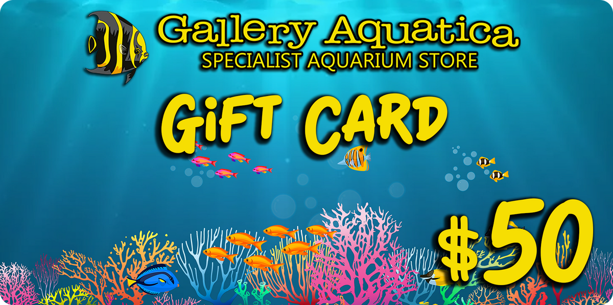 DIGITAL GIFT CARDS – Gallery Aquatica