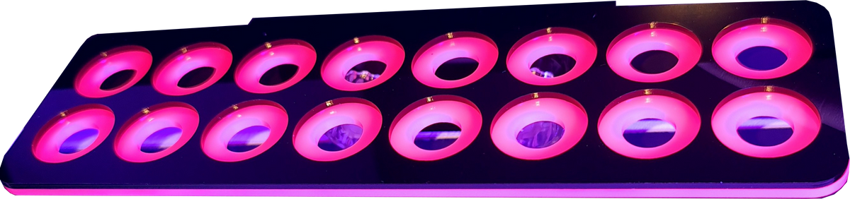 Neon Pink + Black Acrylic Frag Rack - The Frag Shed – Gallery Aquatica