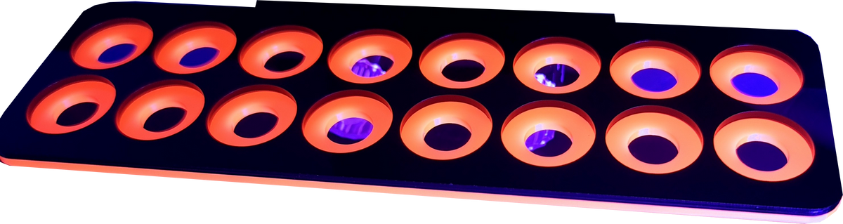Neon Orange + Black Acrylic Frag Rack - The Frag Shed – Gallery Aquatica