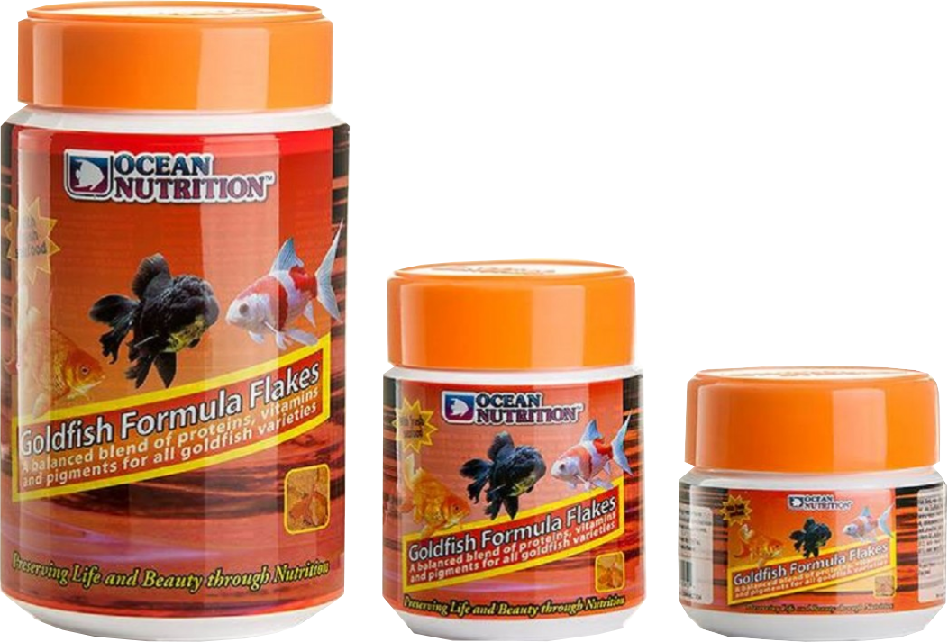 OCEAN NUTRITION GOLDFISH FORMULA FLAKES – Gallery Aquatica