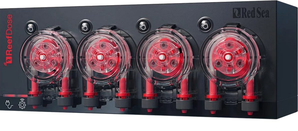 RED SEA REEF DOSE – Gallery Aquatica