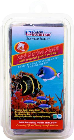 RED MARINE ALGAE – Gallery Aquatica