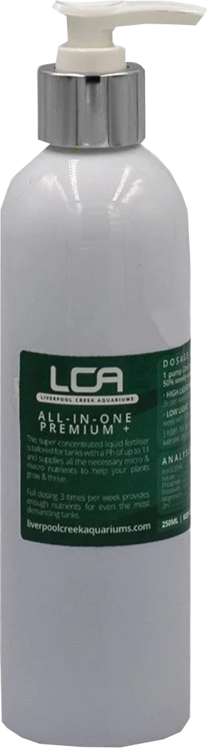 LCA ALL IN ONE – Gallery Aquatica