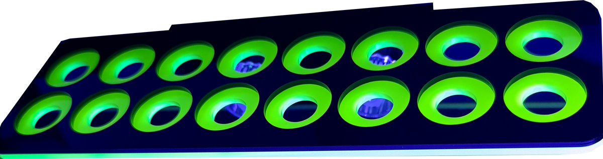 Neon Green + Black Acrylic Frag Rack - The Frag Shed – Gallery Aquatica